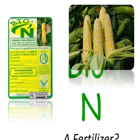 Bio-N for Corn Production Technology.pptx