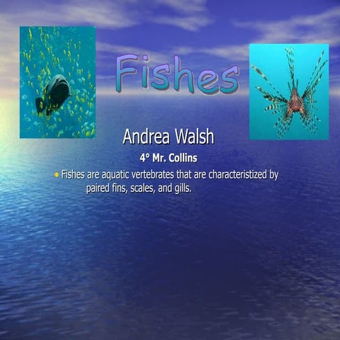 Fishes | PPT
