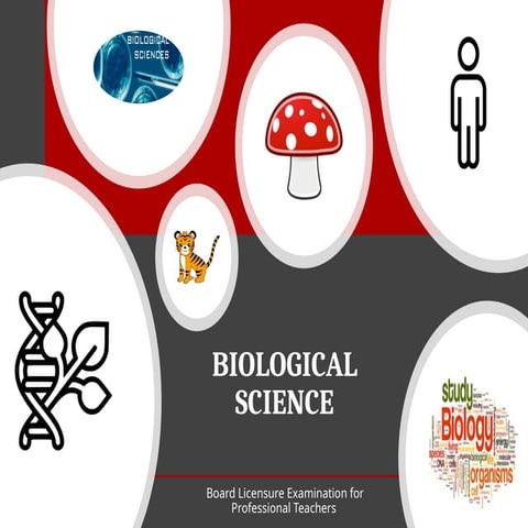 A compilation on the different aspects of science | PPT