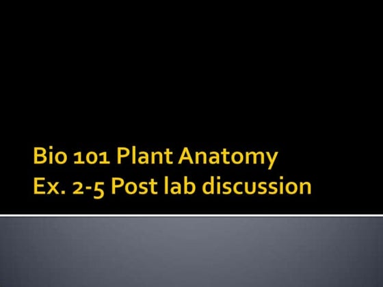Exercise 15 leaf anatomy | PPTX | Biological Sciences | Science