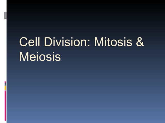 Mitosis | PPTX