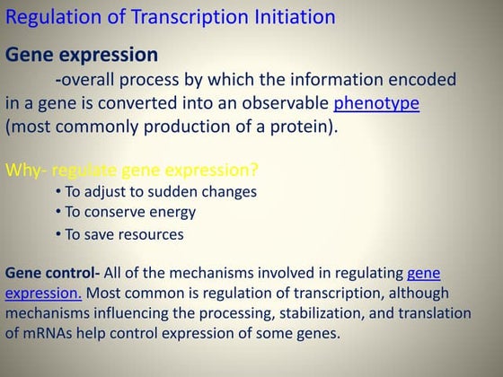 GENE EXPRESSION AND REGULATION.pptx | Biological Sciences | Science