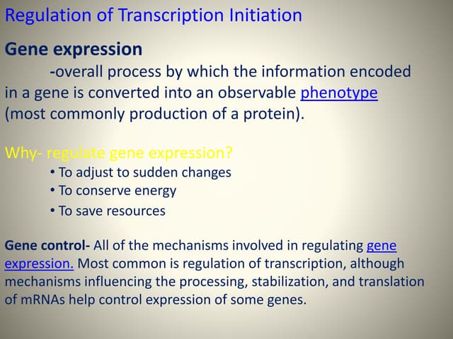 GENE EXPRESSION AND REGULATION.pptx