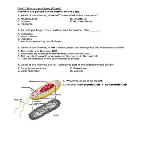 Bio110 practice problems chap4 | PDF | Biological Sciences | Science