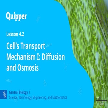 Diffusion and osmosis | PPTX