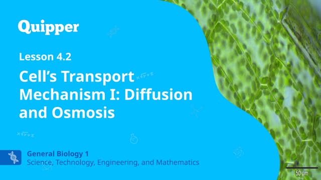 Diffusion,osmosis and imbibition (ayshi) | PPTX