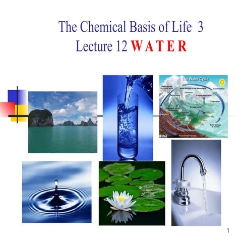 BIO111 Lecture 12 Chemical basis of life-water.ppt