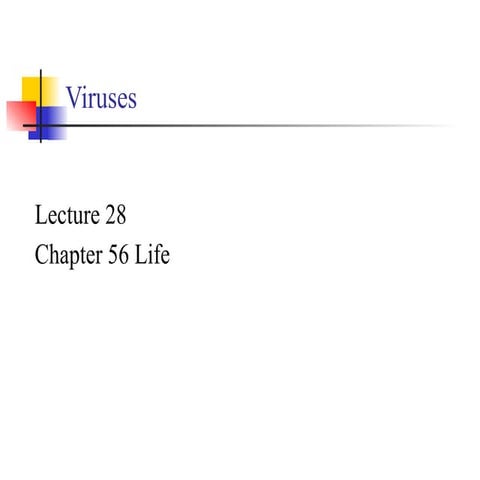 BIO111 Lecture 29 and 30 Eukaryotic cells 2022.ppt