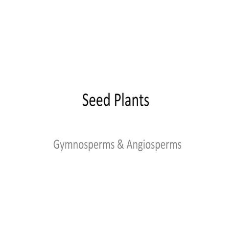 Seed Plants Lab | PPTX