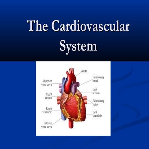 Cardiovascular system/ diagnostic tests and procedures | PPTX