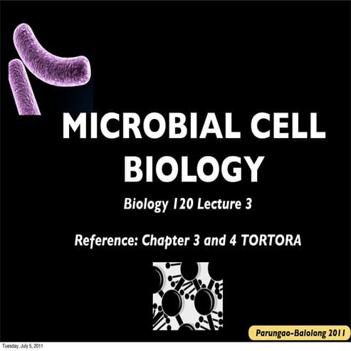 Bio 120 lecture 3 2011 2012 | PDF