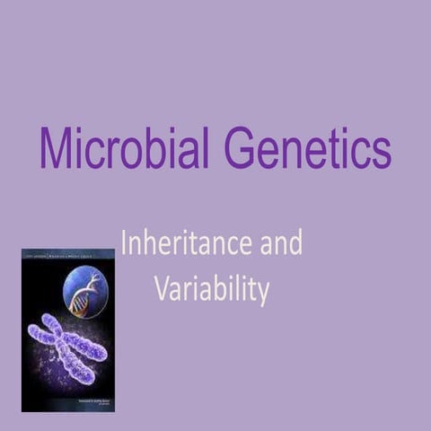 Microbiology Bio 127 Microbial Genetics | PPT