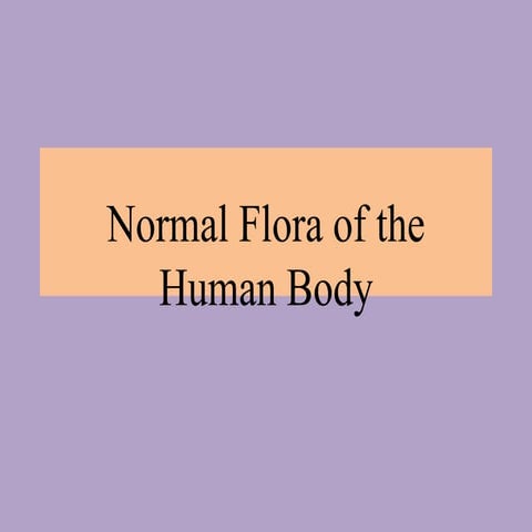 Microbiology Bio 127 Normal Flora of the Human Body | PPTX