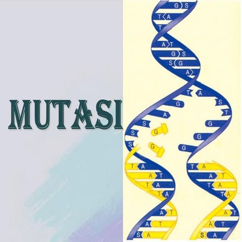BIOLOGI KELAS 12 SMA/MA tentang MUTASI.pdf