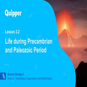 Life during the Precambrian and Paleozoic Period | PPTX