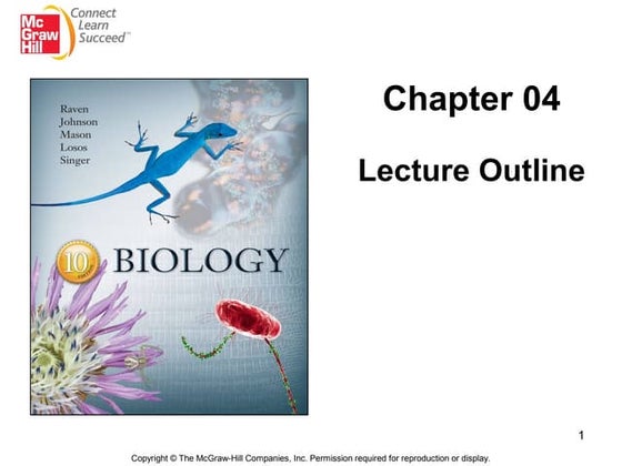 Biology chapter 3 | PPT