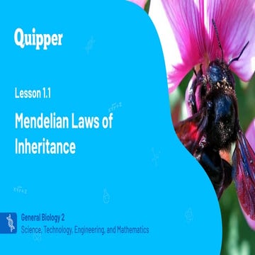 Biology 2 mendelian inheritance: monohybrid cross, dihybrid crosses ...
