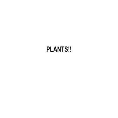 Chapter 22 Lecture- Plants | PPT