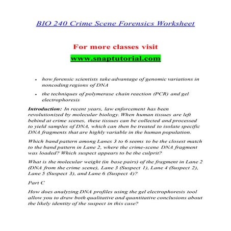 Bio 240 Education Organization / snaptutorial.com | Eye and Vision ...