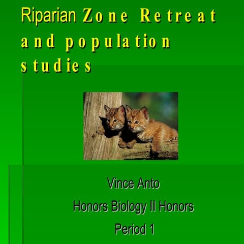 Bio 2 bobcat for school | PPT