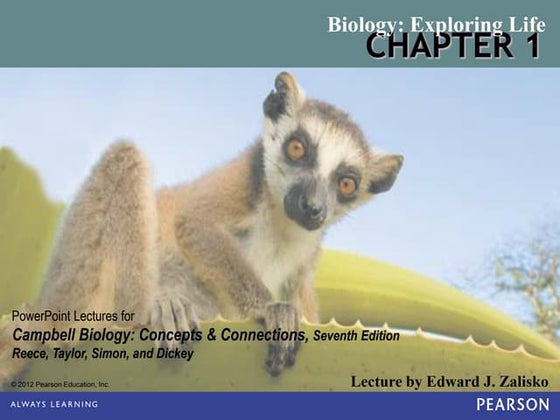 Chapter 1 - Introduction to Chemistry | PPT