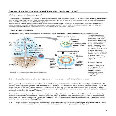 Plant structure and growth 1 | DOC
