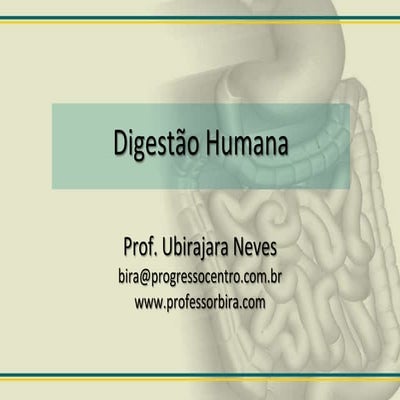 Digestão Humana | PPSX