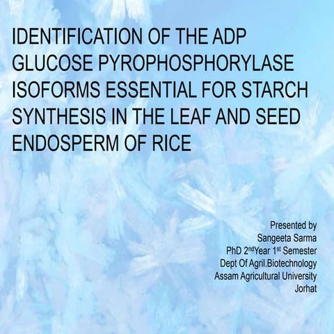 AGPase in starch biosynthesis | PPTX | Chemistry | Science