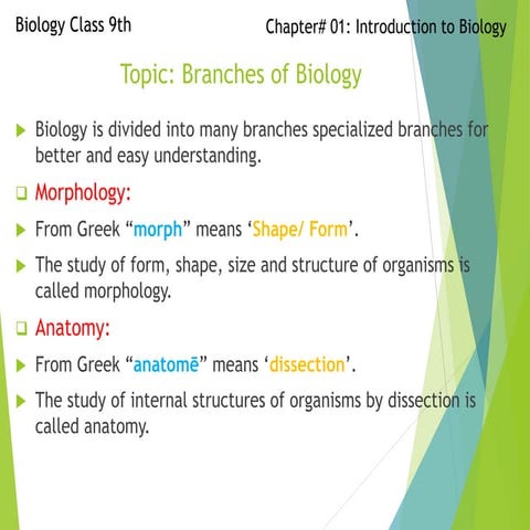 Branches of biology | PPTX