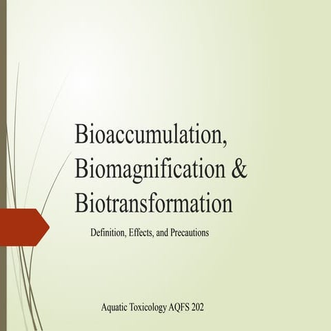 Biomagnification | PPTX