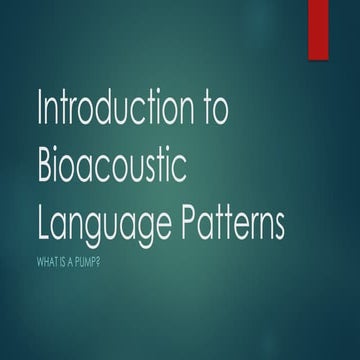 Bioacoustic Language Patterns with a non functual amorphos.pptx