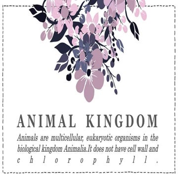 BIOLOGY ANIMAL KINGDOM CLASS. 11 NCERT.. | PPTX