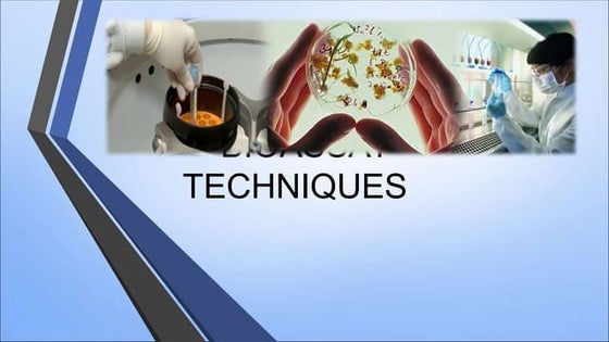 Methods for Determining Fractional Inhibitory Concentration (FIC) | PPT