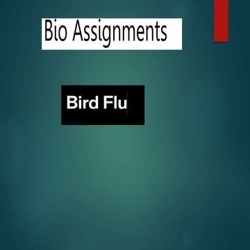 Bio Assignments bird Flu.pptx
