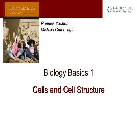 Bio basics1 long-version | PPT