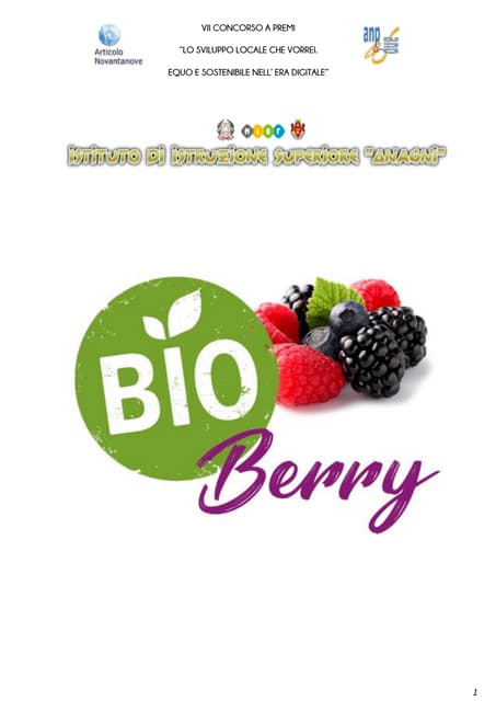 Anagni presentation | PPT