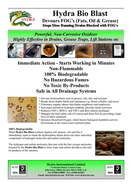 Sobo%20 gold | PDF | First Aid | Injuries