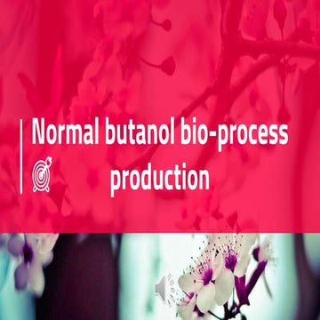 Bio butanol 2016 - English Format | PPTX