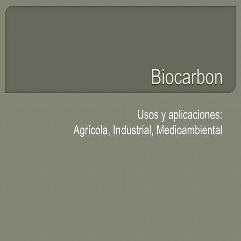 Biocarbon para principiantes, en español | PPTX