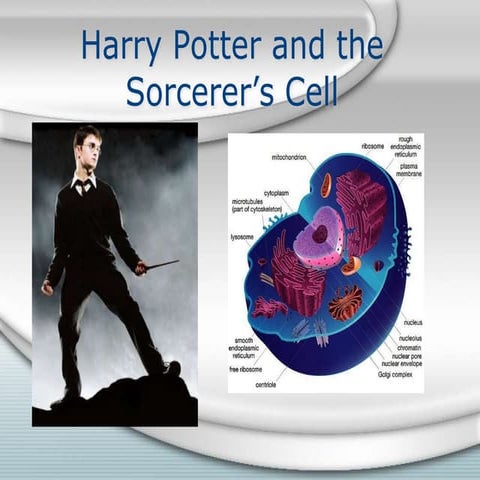 Bio cell project | PPTX