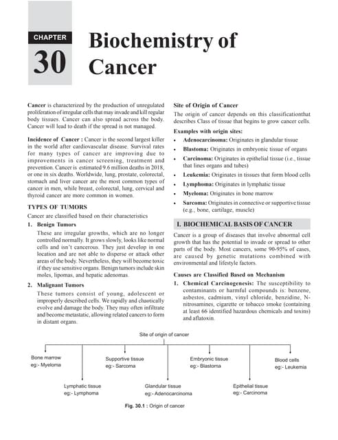 Cancer, Etiology, Classification and Pathophysiology | PPTX | Cancer ...