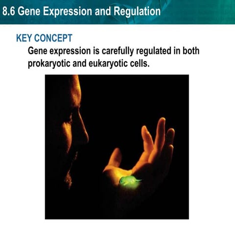Gene Expression & regulation | PPT