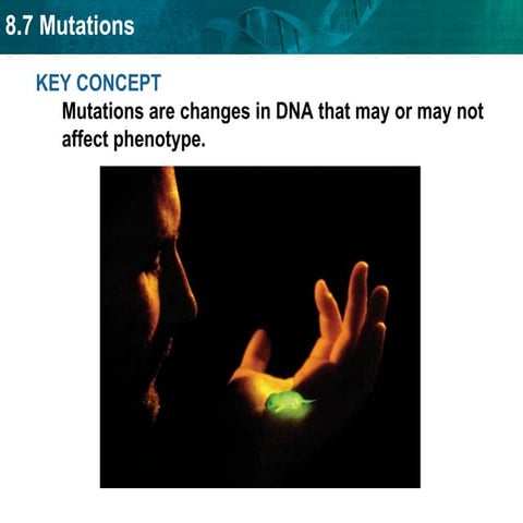 Mutations | PPT