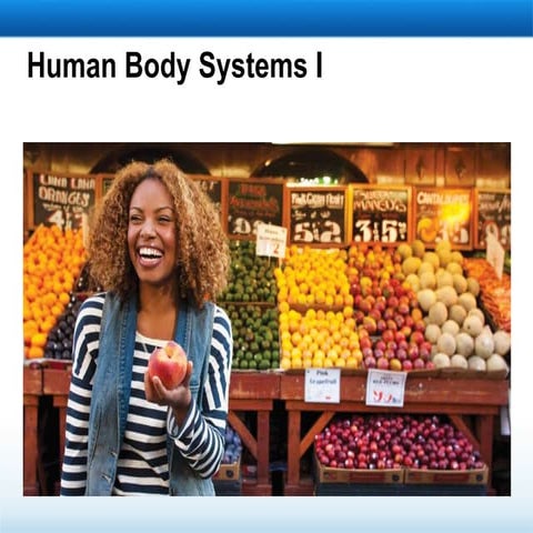 Body System.ppt