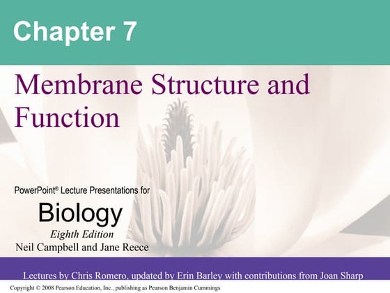 Lesson 7 Transport Mechanisms | PDF