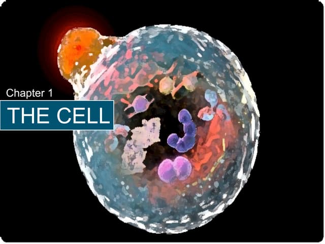 Eukaryotic microorganisms salient features | PPTX