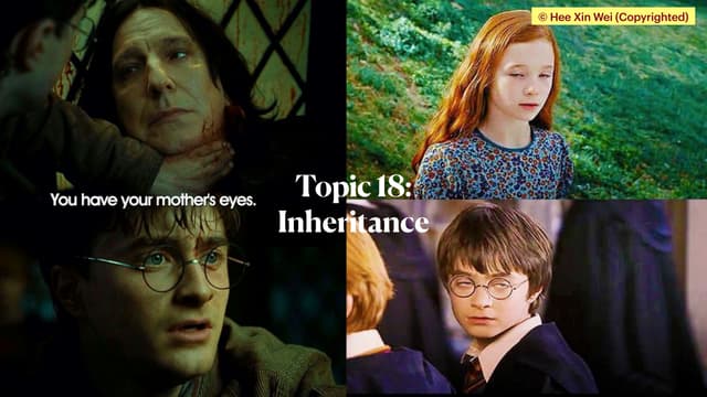 Allelic Gene Interaction.pptx