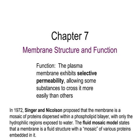 Chapter 7: Cell Membrane | PPT
