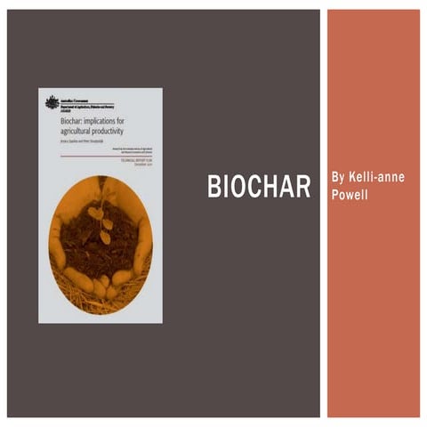Biochar | PPT