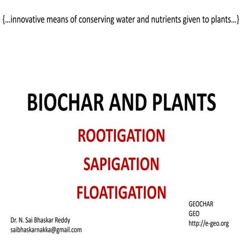 Biochar Conserving Water for Plants | PPTX
